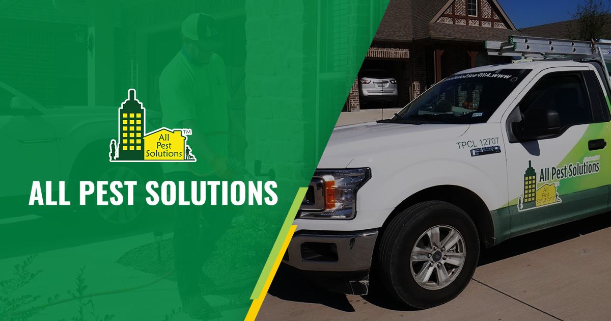 Wylie, TX Termite Treatment | All Pest Solutions