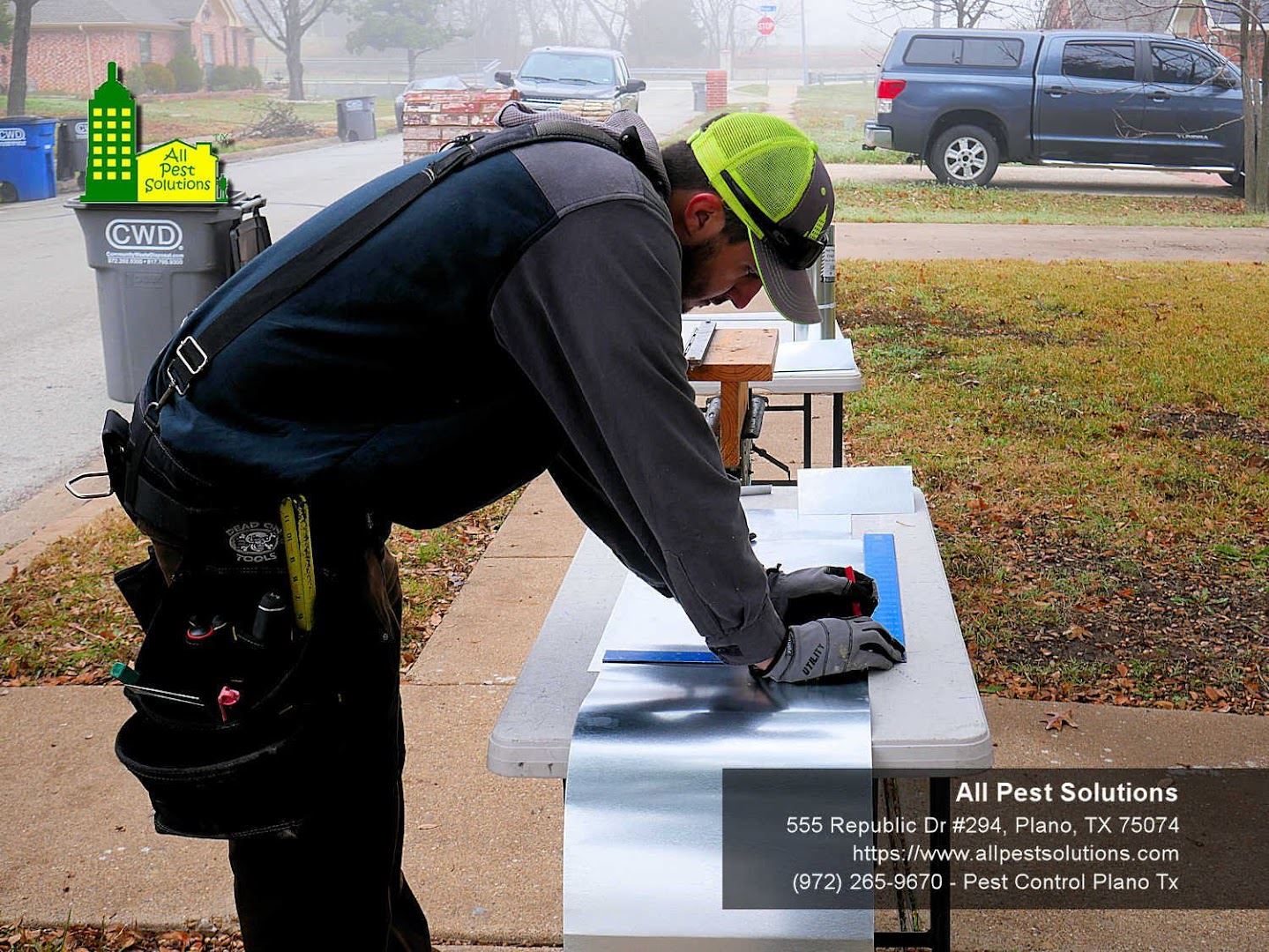 Gallery: Rodent Control | Wylie Pest Control