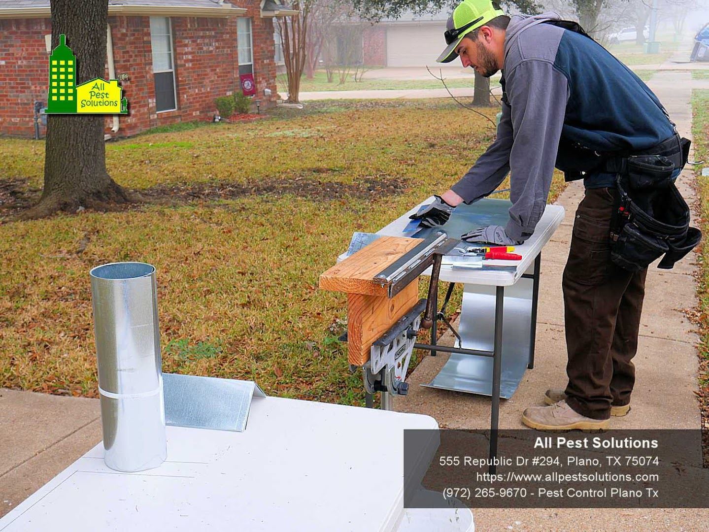 Gallery: Rodent Control | Wylie Pest Control