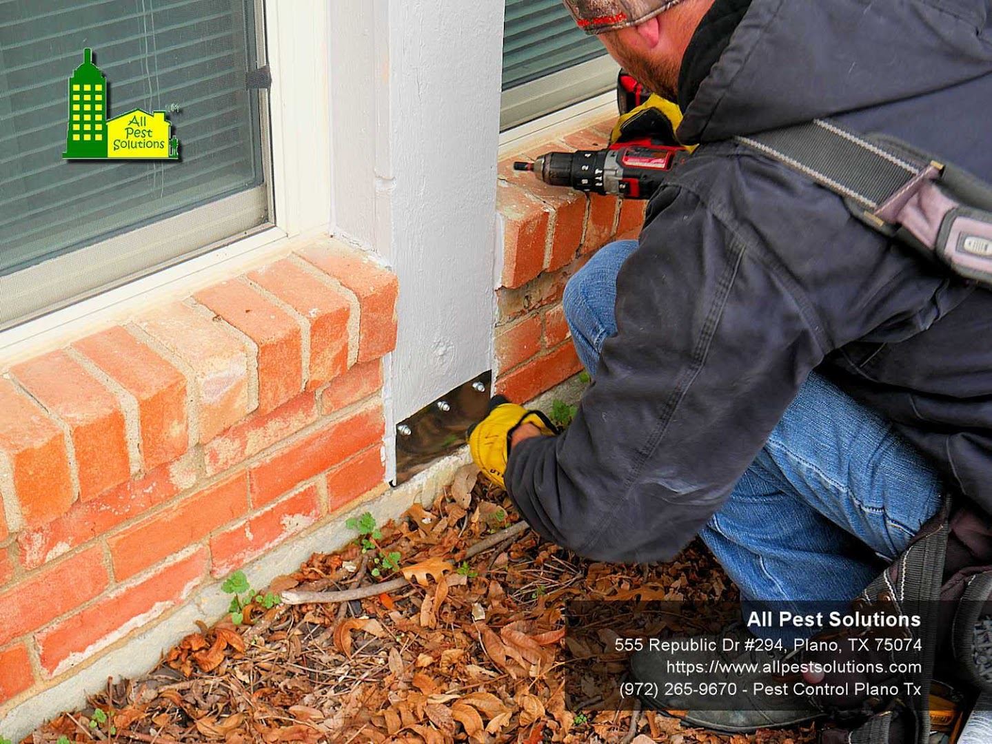 Gallery: Rodent Control | Wylie Pest Control