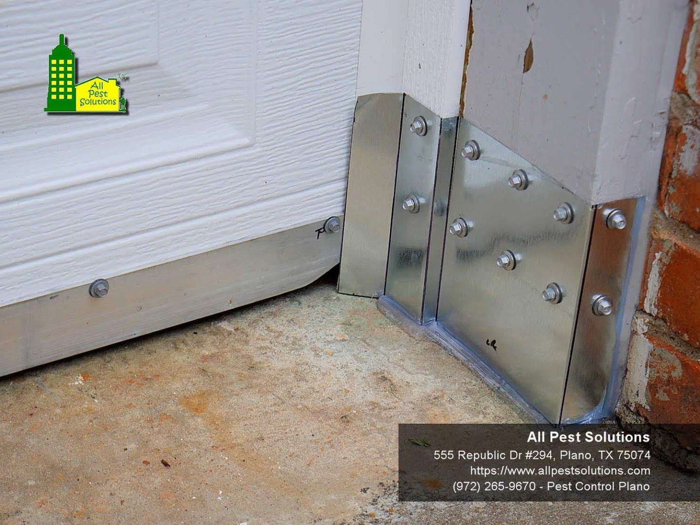 Gallery: Rodent Control | Wylie Pest Control